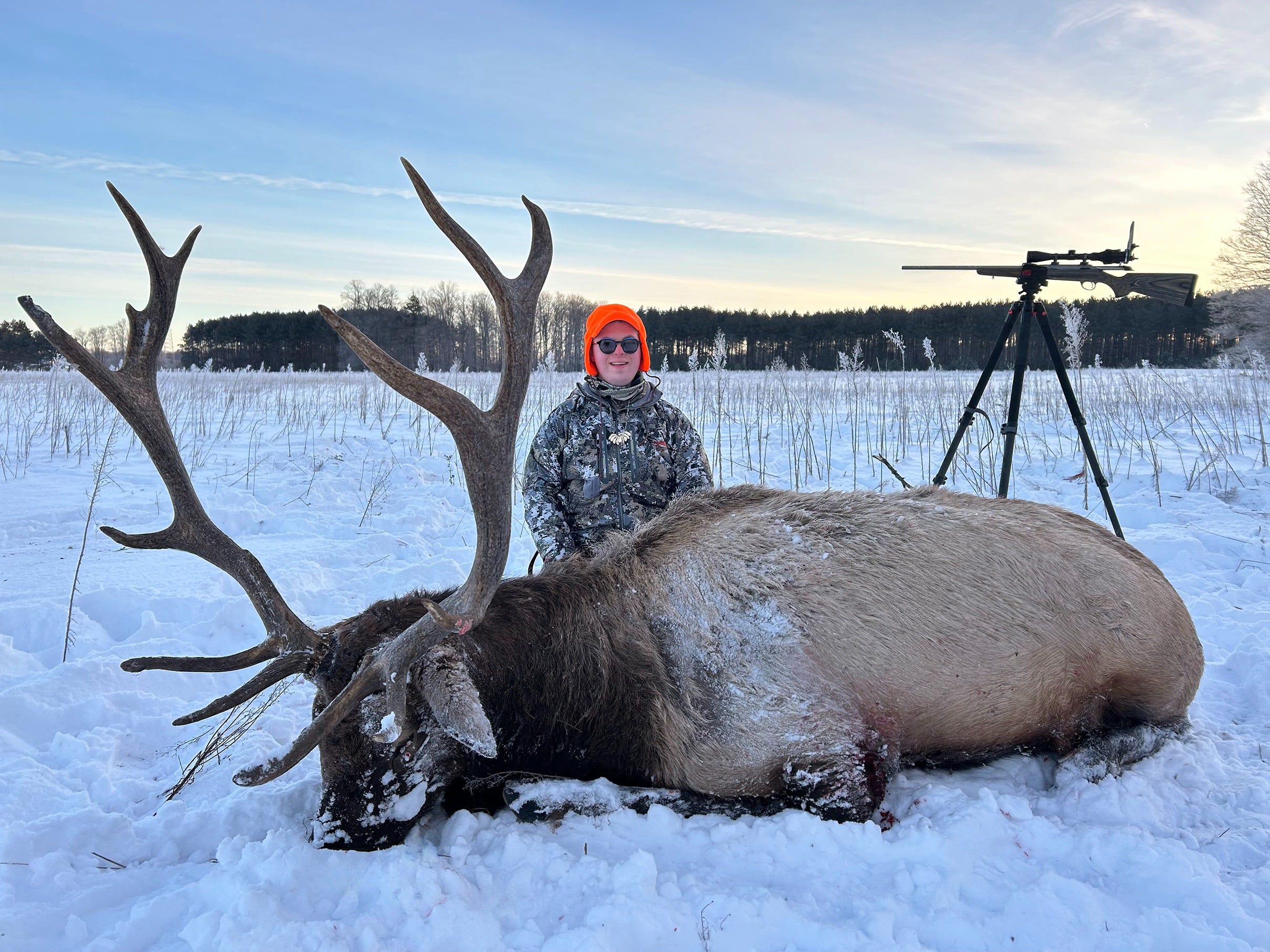 Michigan elk hunters saw success in 2024. Here's how the harvest ...