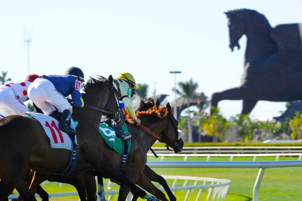 Horsemen, Gulfstream Park announce three-year agreement; championship ...