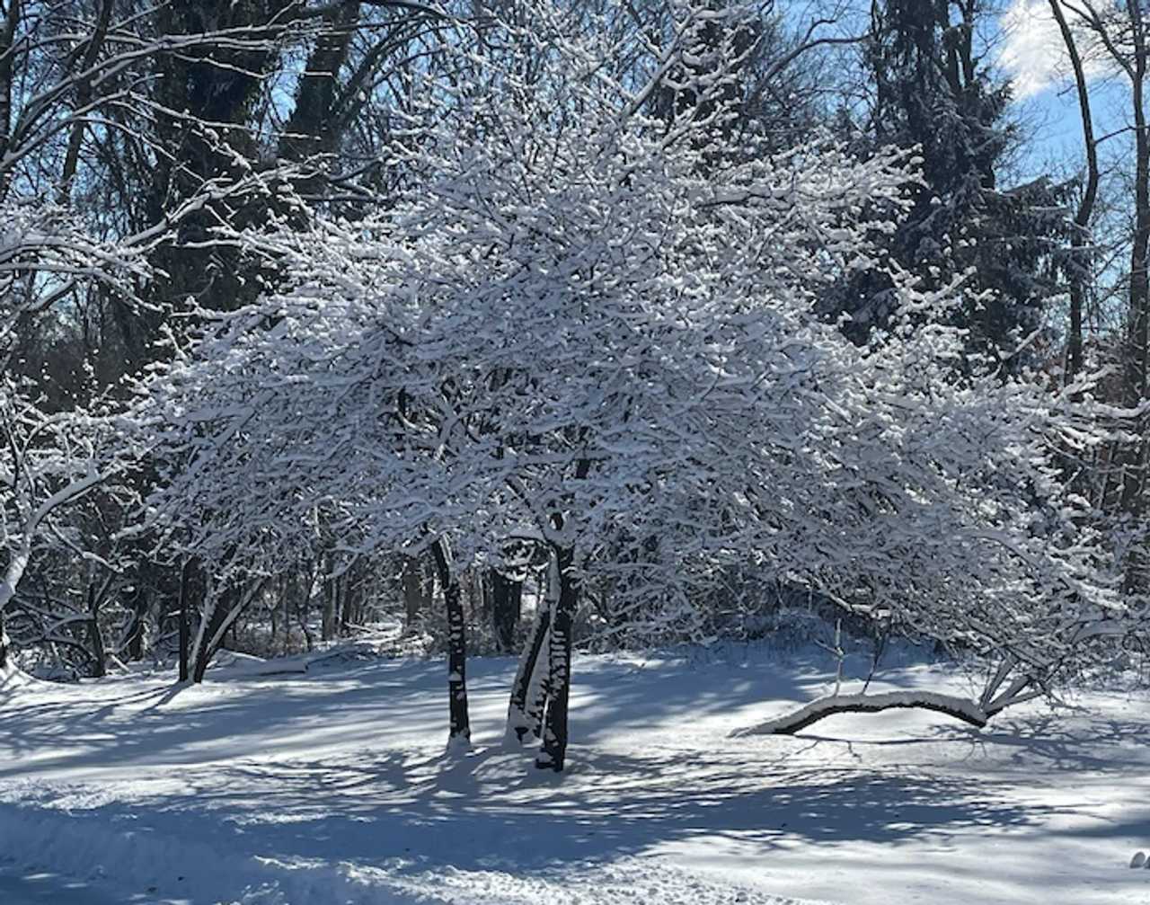 Here's Who Got The Most Snow In New Jersey: See The Town By Town Totals