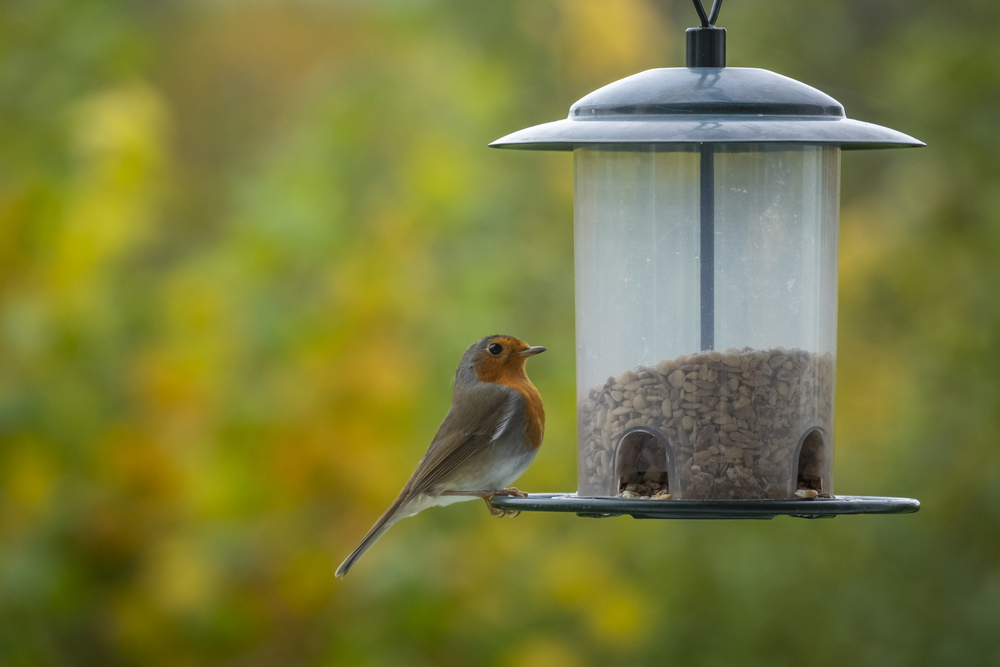 20 Unique Ways to Upcycle Vintage Items into Bird Feeders
