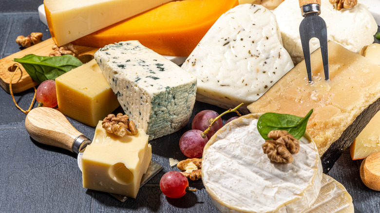 The Sharp Cheeses All Lactose-Intolerant Foodies Should Know By Heart
