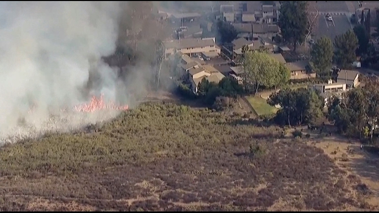 Evacuation warning lifted after crews extinguish brush fire in Poway