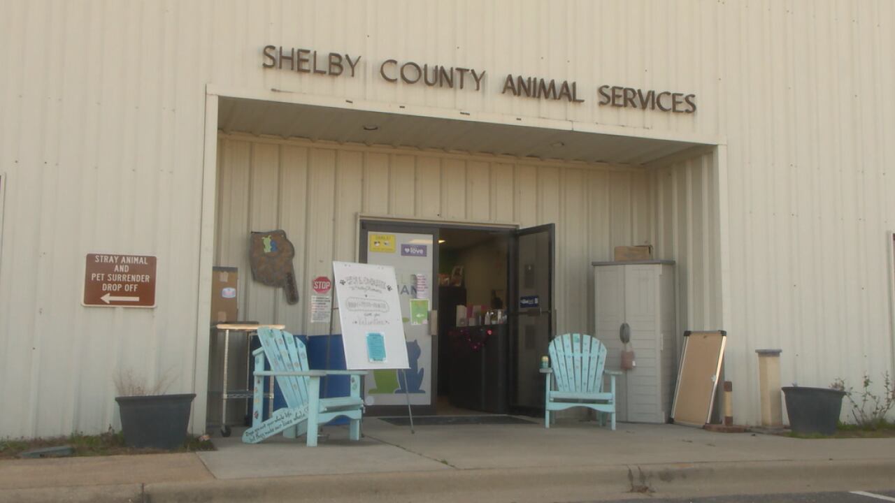 10 puppies among 27 animals taken in by Shelby Humane Society in one day