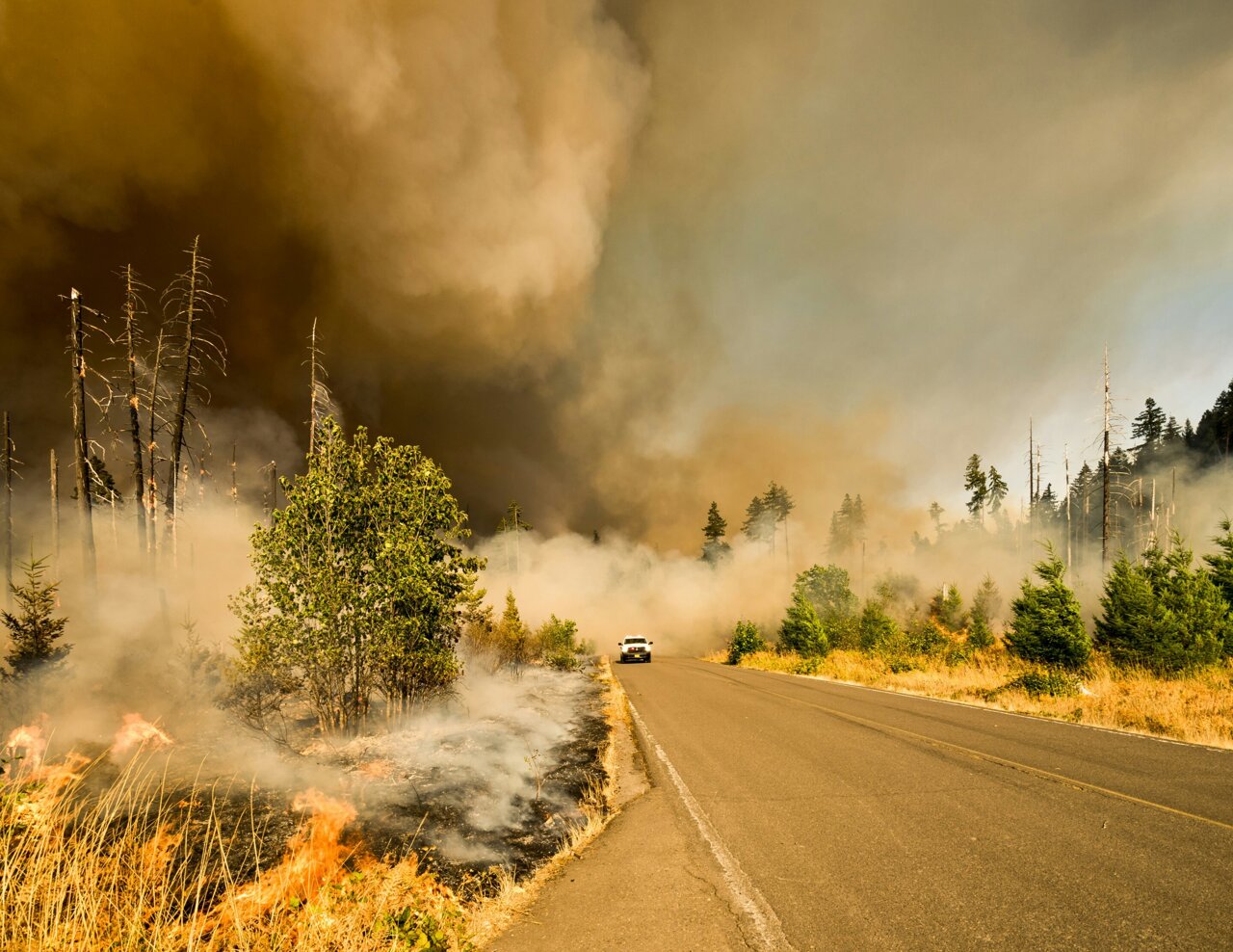 Six roads to safety: A critical threshold for wildfire survival
