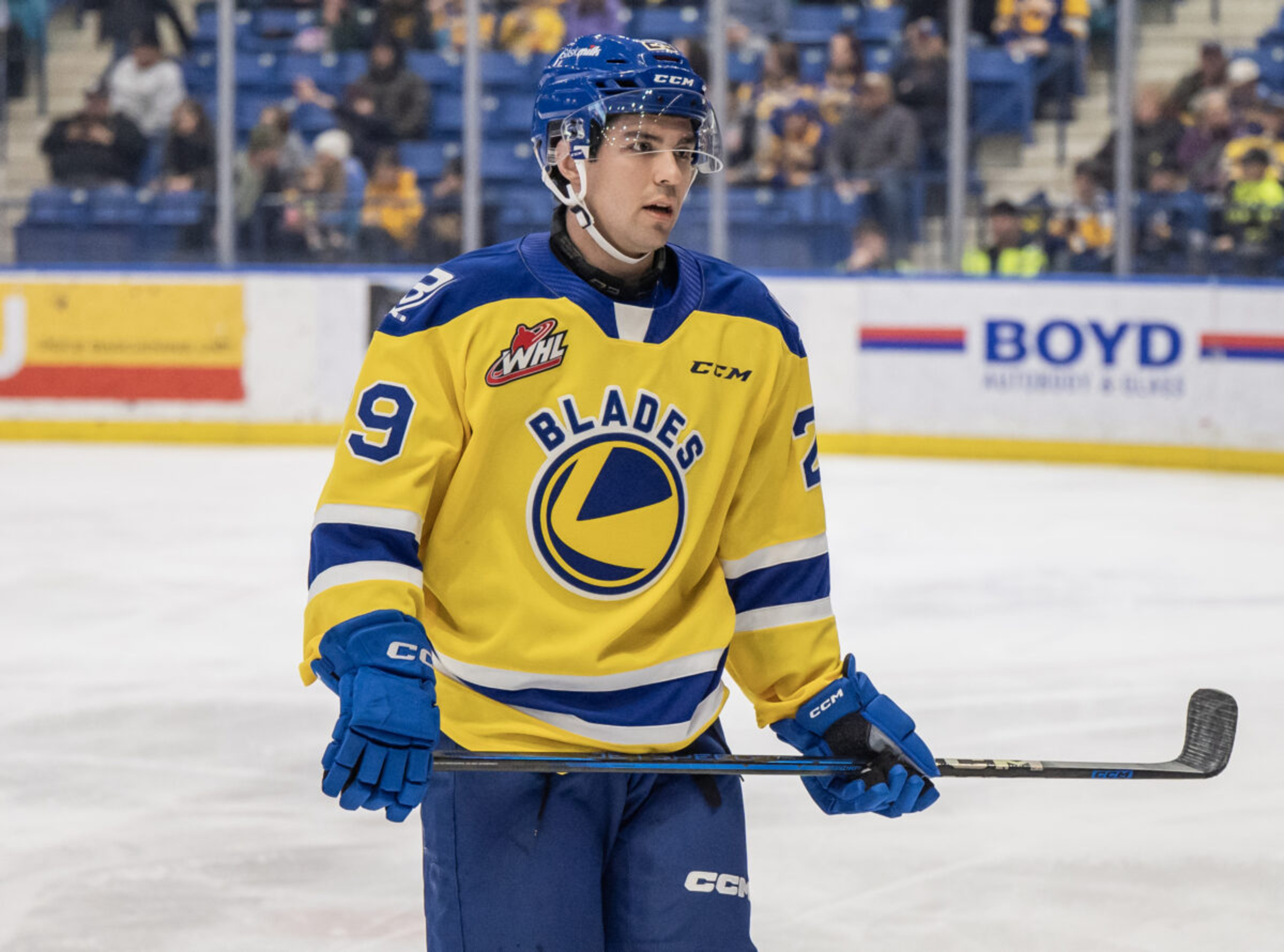 Meet the New Saskatoon Blades