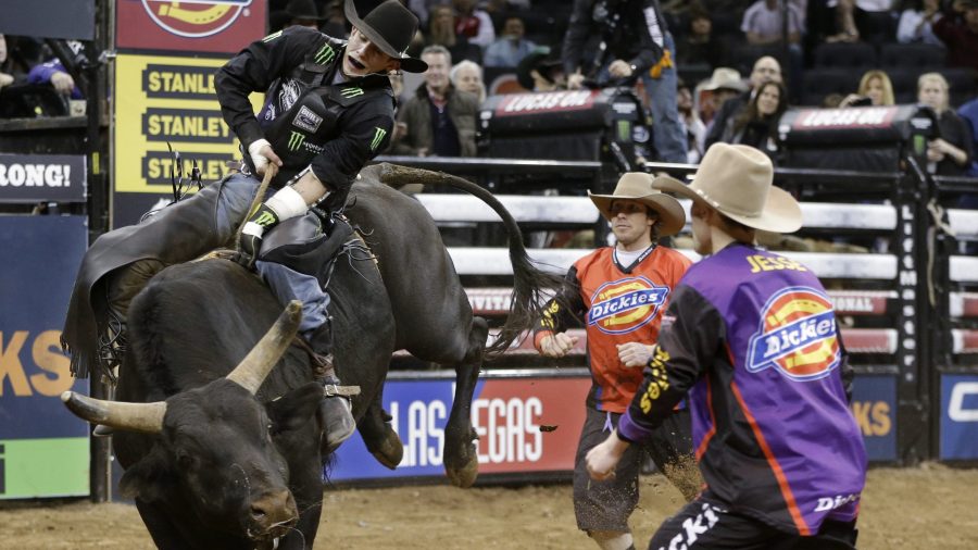 Bull rider injured at National Western Stock Show rodeo event
