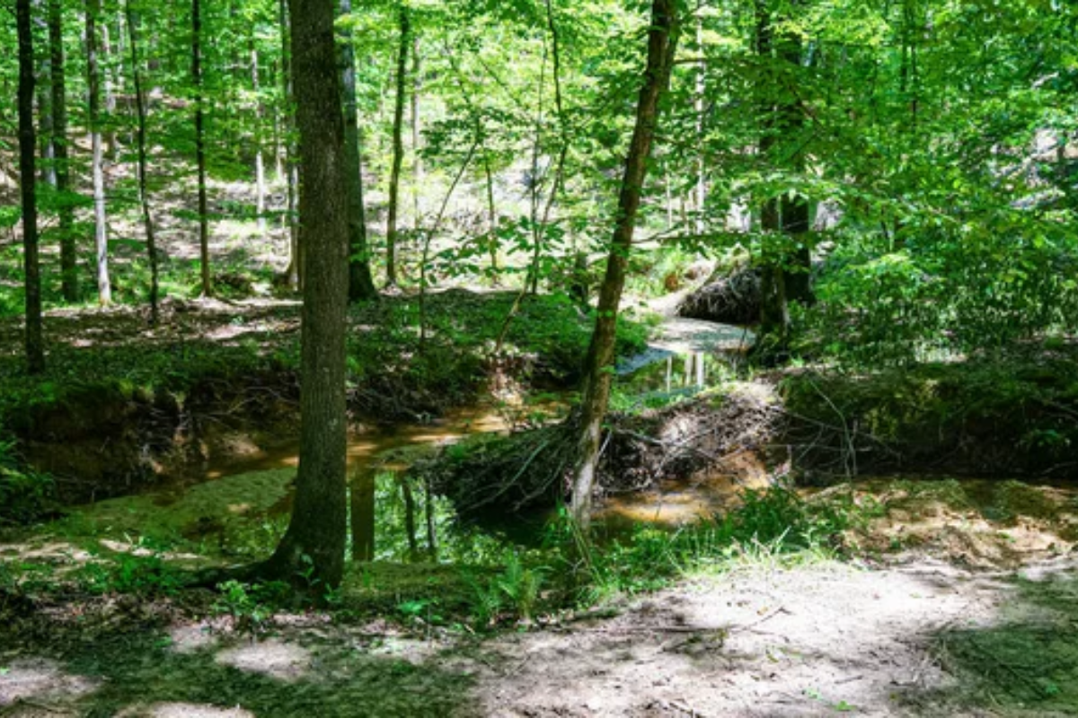 20 Hidden US Waterways Perfect for a Boat Adventure