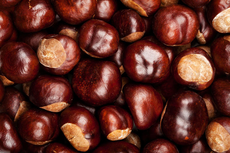 What are the stickers on Ohio State's helmets? All about the nearly 60 ...