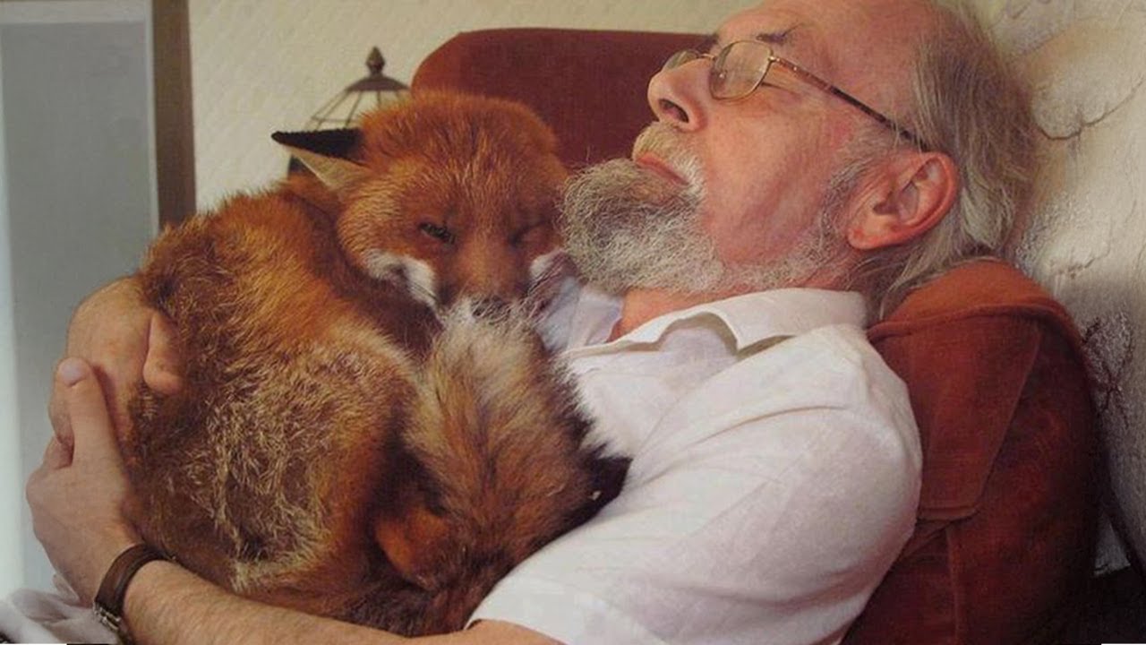 Animals teach us that love is the answer to everything