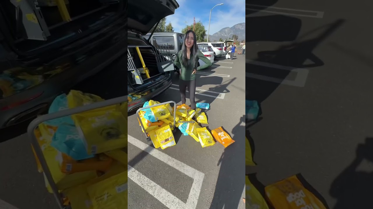 Taking a big donation of goodies to the animal shelter