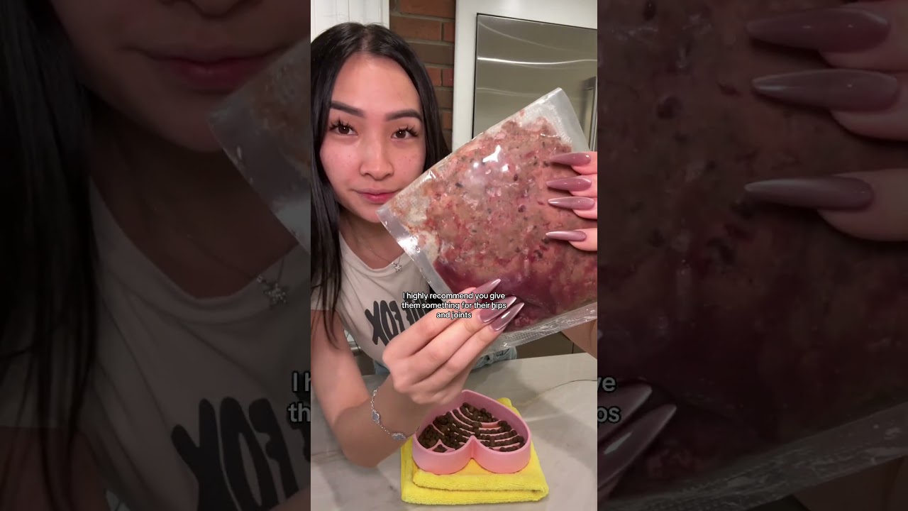 How I Feed My Oldest Dog