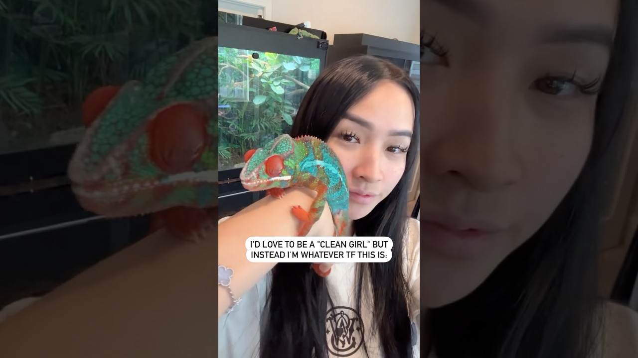 Why Clean Girl Vibes and Reptile Care Don’t Always Mix
