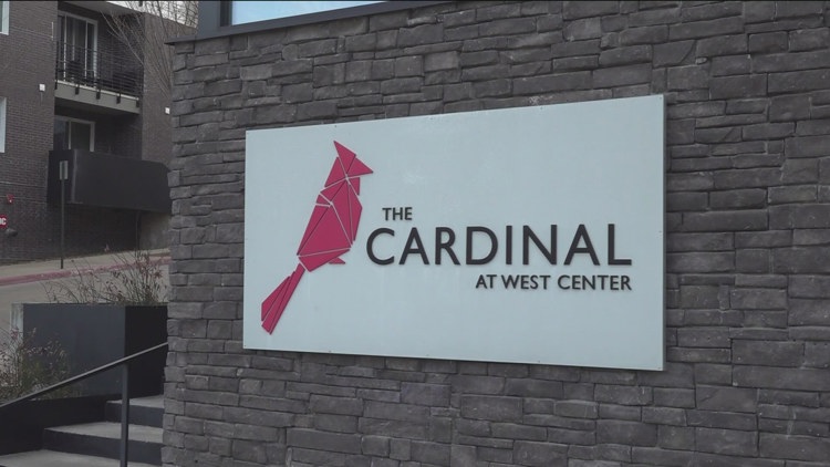 U of A student who died falling from apartment balcony identified by ...