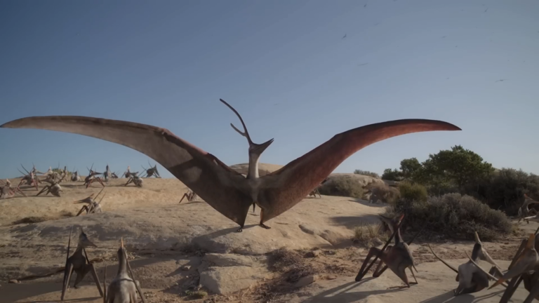 Qui étaient les Nyctosauridae