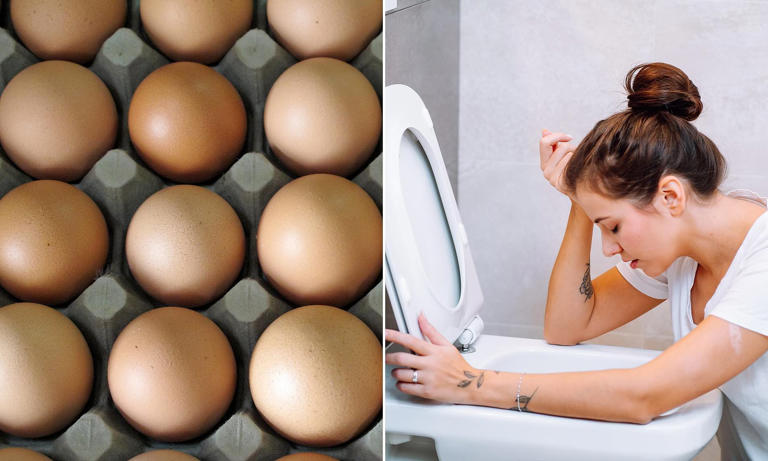 Urgent egg recall: Full list of brands affected amid salmonella fears Urgent egg recall: Full list of brands affected amid salmonella fears