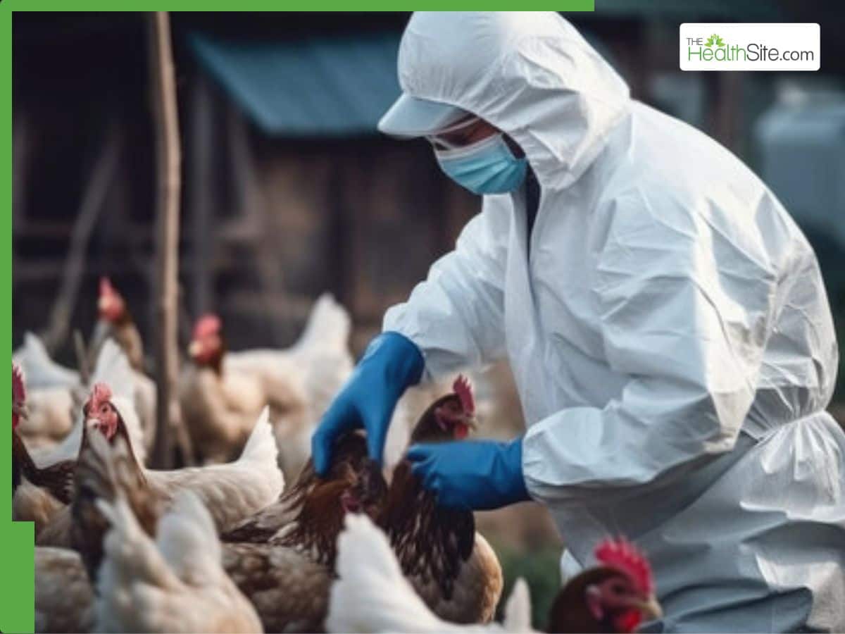 Pandemic 2025: Deadly Bird Flu Mutating Rapidly, Scientists Sound Alarm ...