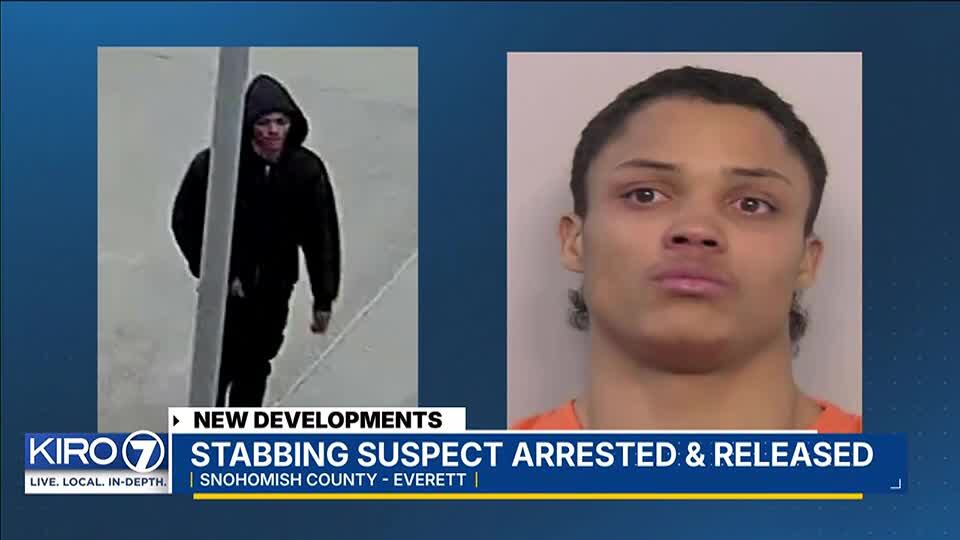 VIDEO: Stabbing Suspect Arrested and Released