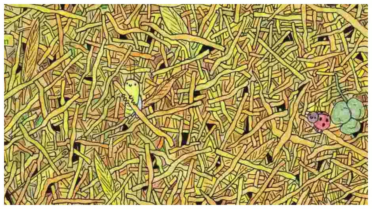 Optical illusion: Only those with 20/20 vision can spot the hidden ...