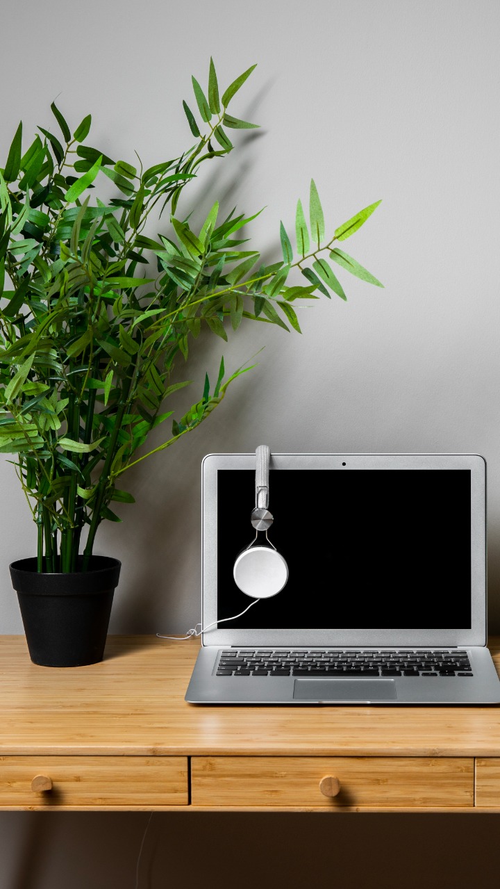 9 best office desk plants to boost productivity