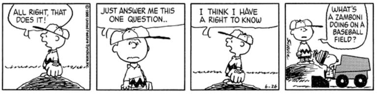 You May Think You Know Charlie Brown, But These 15 Peanuts Comics Are ...