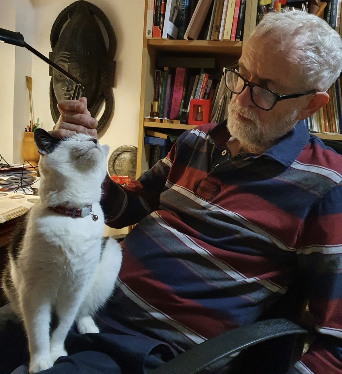 Jeremy Corbyn announces death of his beloved cat El Gato: 'Life will ...