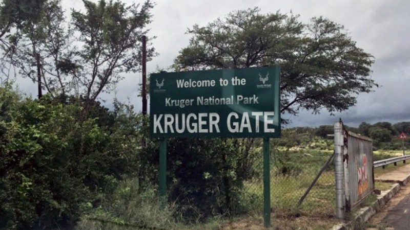 Brutal murder of tourists highlights safety concerns in Kruger National ...