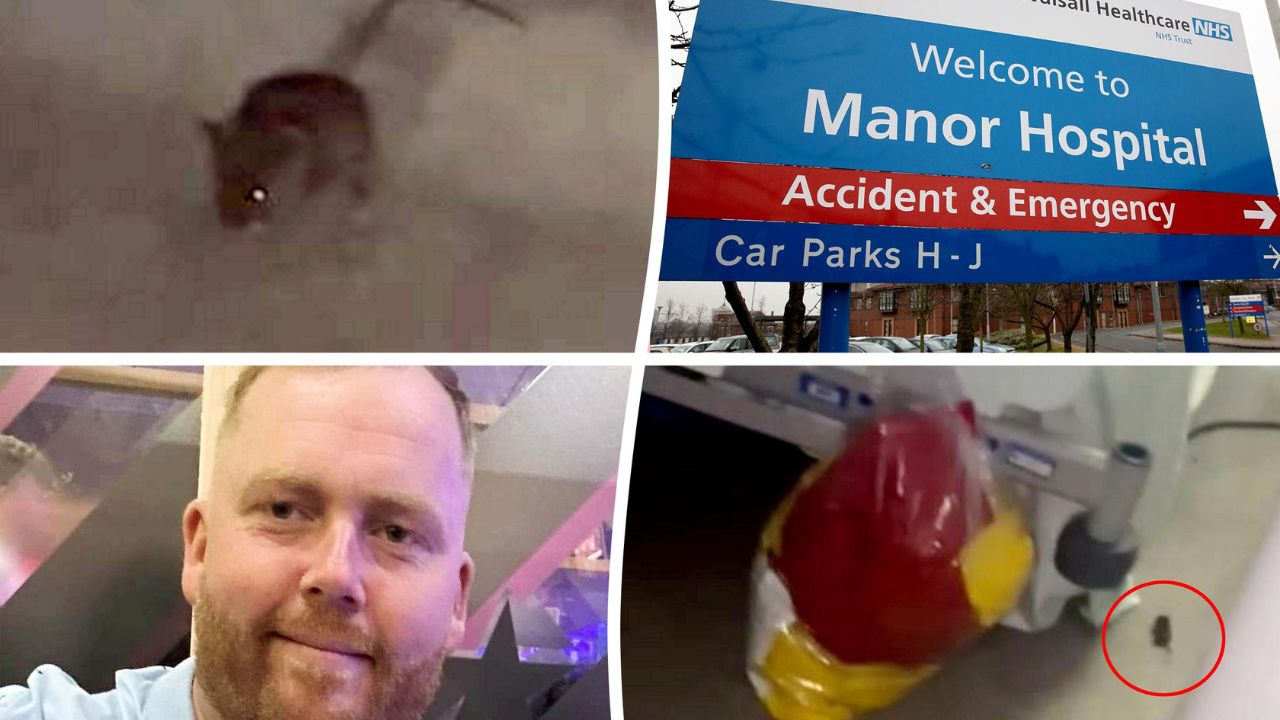 Horrific video shows mouse running around UK hospital ward