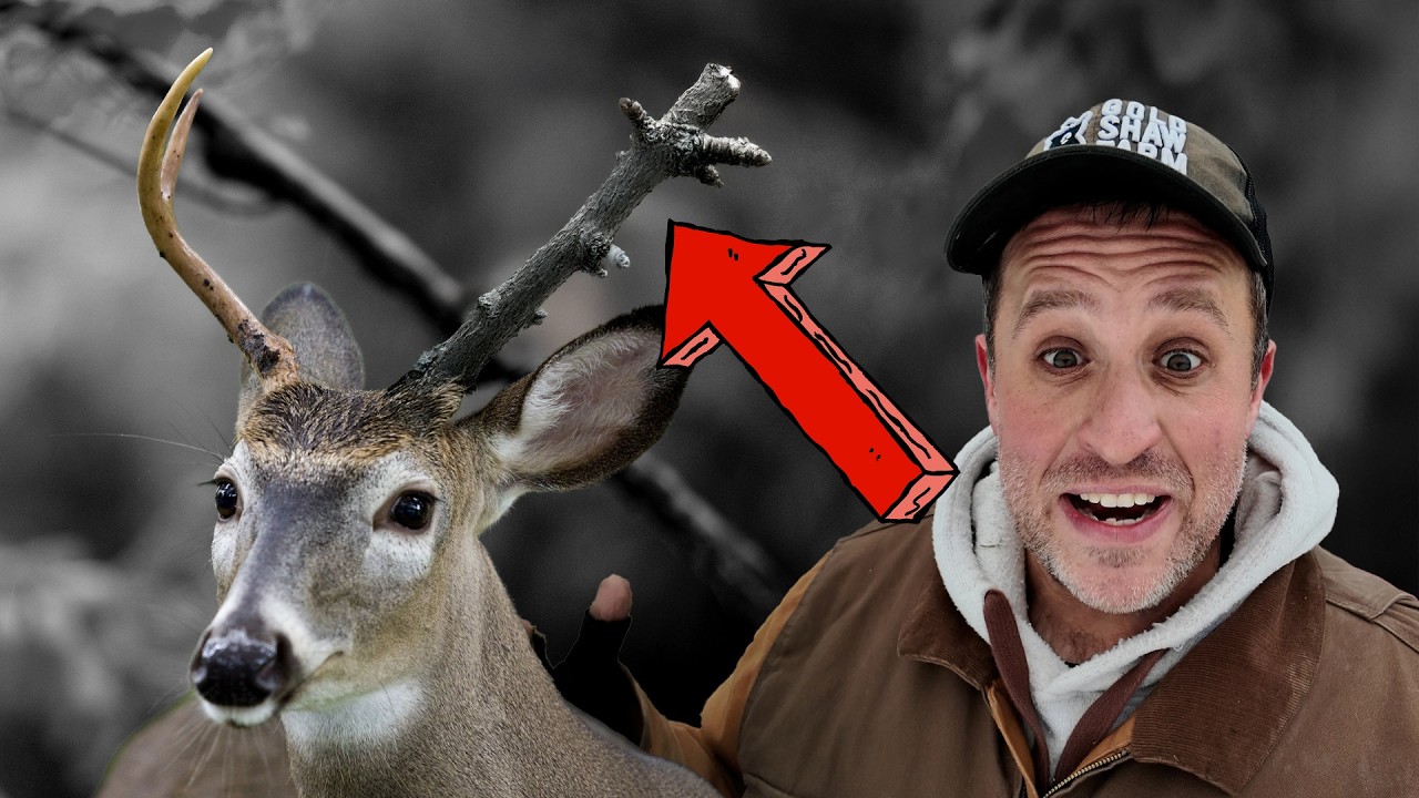 The Story of the Antlerless Buck