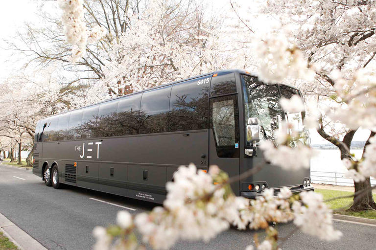 This Bus Between New York City and Washington, D.C. Is One of the Most ...