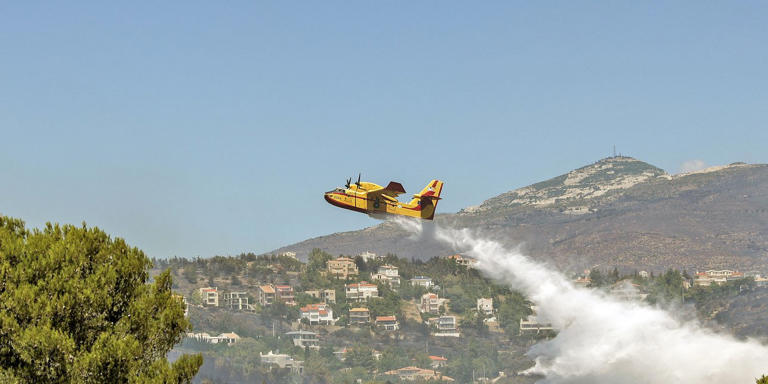 Φωτιά σε δασική έκταση στο Κιλκίς -Επιχειρούν και τρία εναέρια μέσα για ...