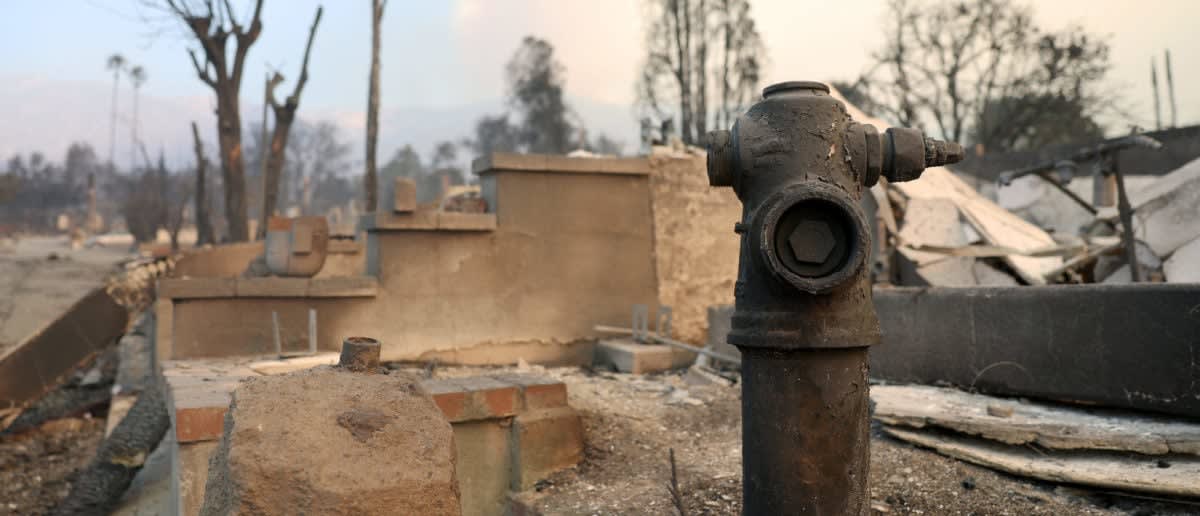 FACT CHECK: Viral Image Of Rainbow Fire Hydrant Is AI-Generated