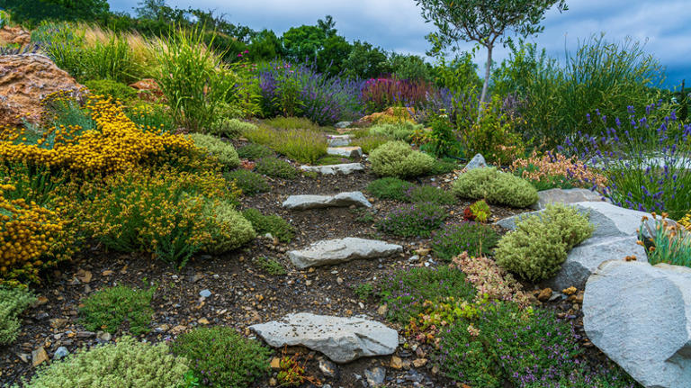 4 Types Of Thyme To Grow Between Pavers For An Aromatic Walkway