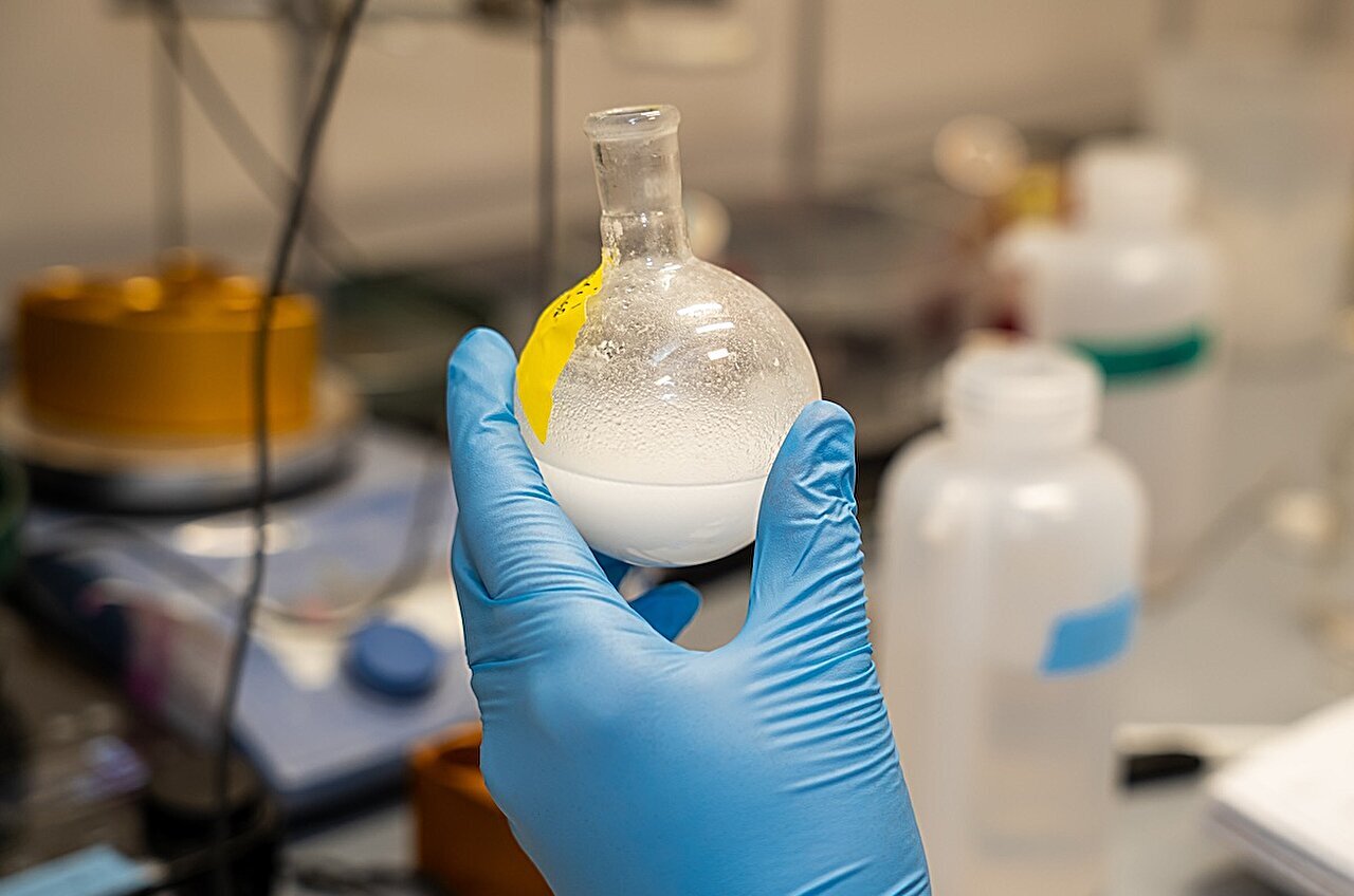 Escaping the endosome: BEND lipids improve LNP mRNA delivery and gene ...