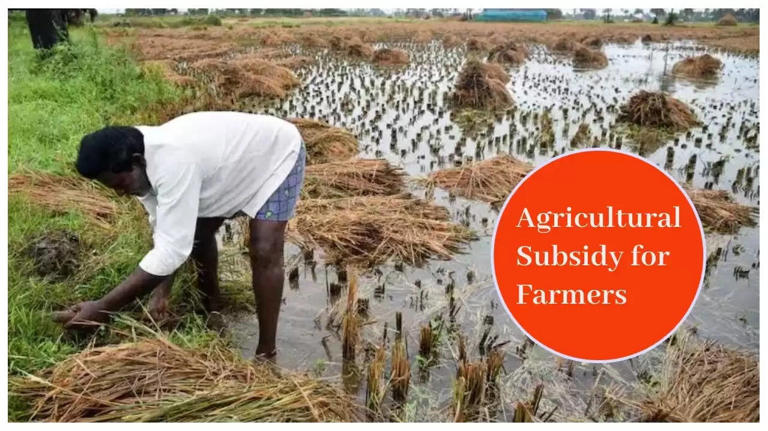 Good News for Farmers: Govt May Transfer Subsidy for Fertilizers ...