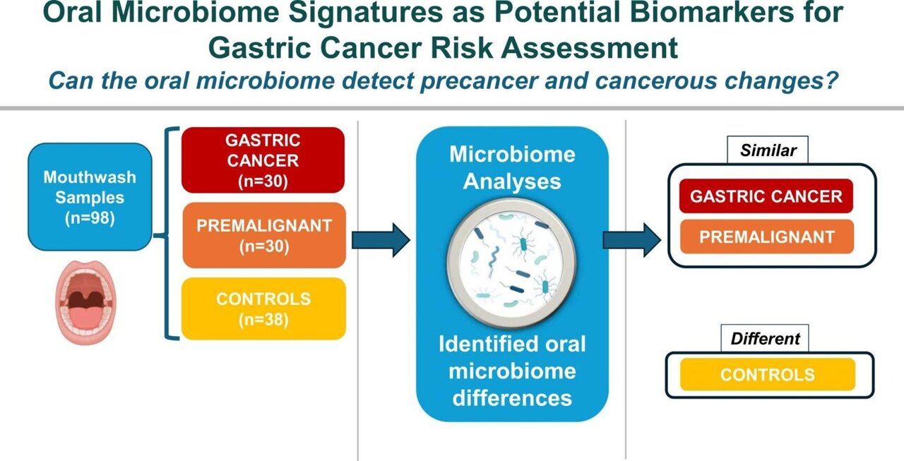 Q&A: Researchers discuss exploring gastric cancer risk through oral ...
