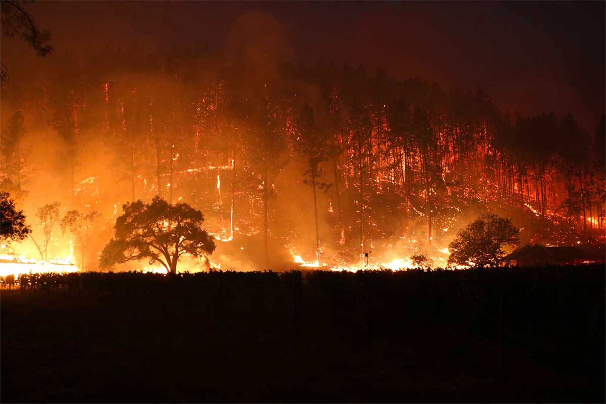 Harden your home against fires: Santa Rosa urges residents to create ...