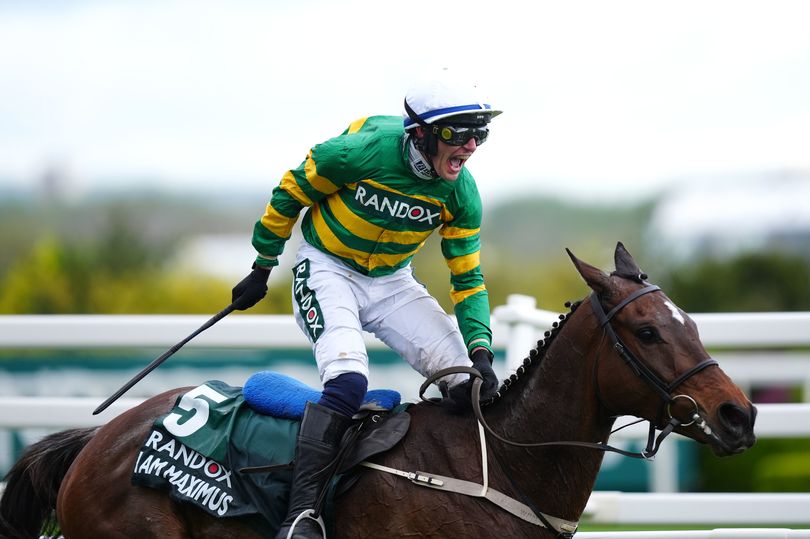 Grand National 2025 runners: Full list of 90 entries for Aintree race