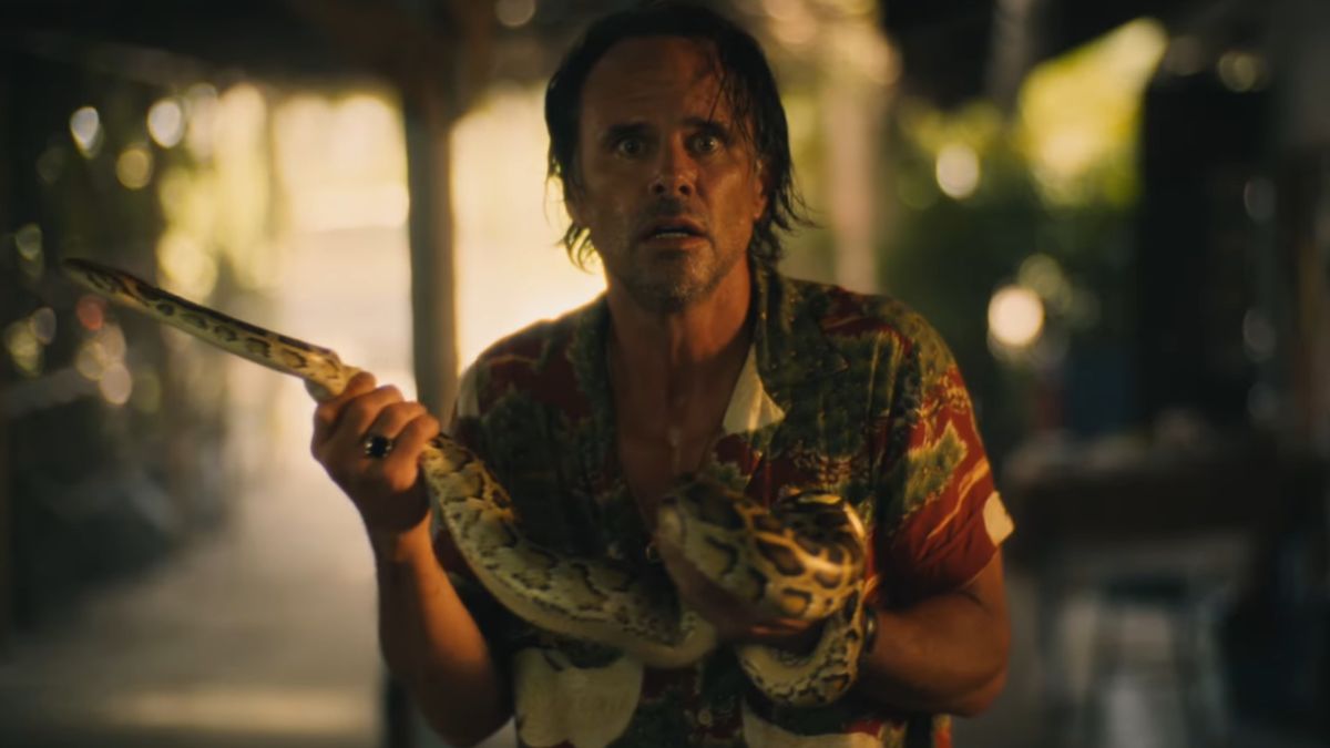 Películas y series de estreno en Netflix, Max, Prime Video y Disney+ en ...