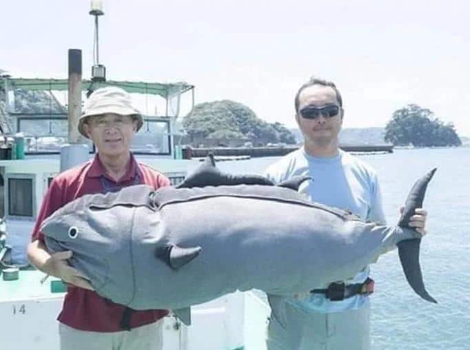 40 Funny Pictures That'll Make You Say "Hmmm" Because There's Really No ...