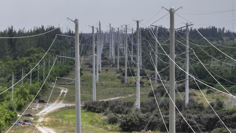 3 Stocks That Will Win From the ‘Jevons Paradox’