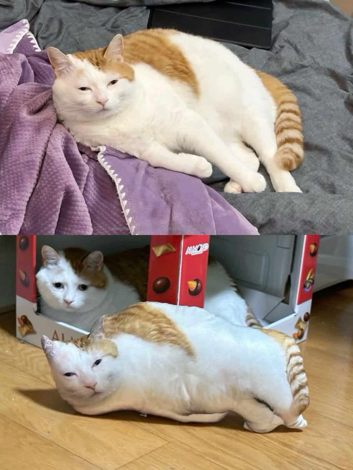 40 Funny Pictures That'll Make You Say "Hmmm" Because There's Really No ...