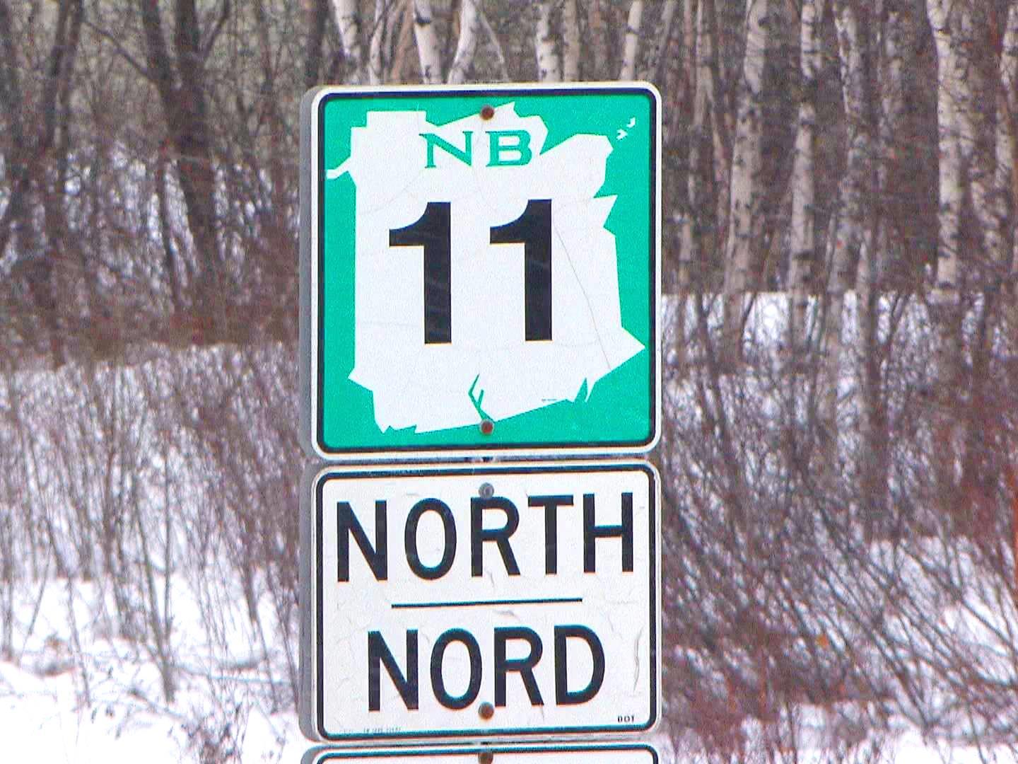 Un Québécois de 17 ans périt sur la route 11 près de Bathurst