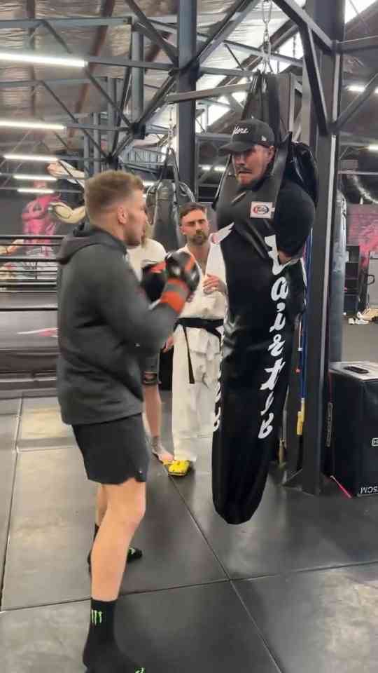 How to train like a UFC champion!