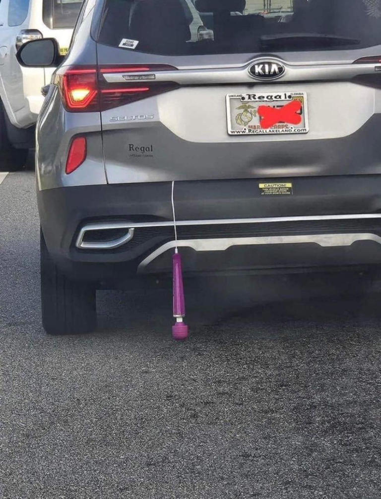 40 Funny Pictures That'll Make You Say "Hmmm" Because There's Really No ...