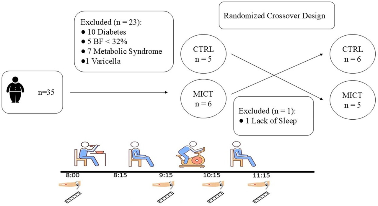 Moderate exercise keeps appetite at bay, says research