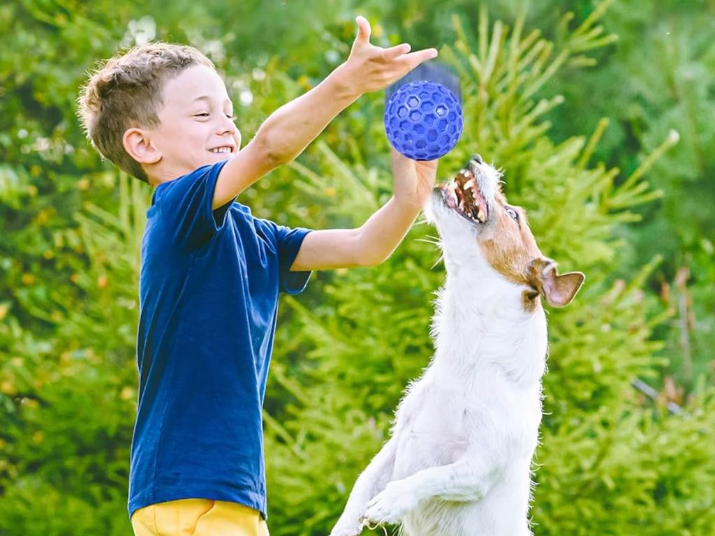 This Indestructible Fetch Ball Cleans Your Dog's Teeth While They Play ...