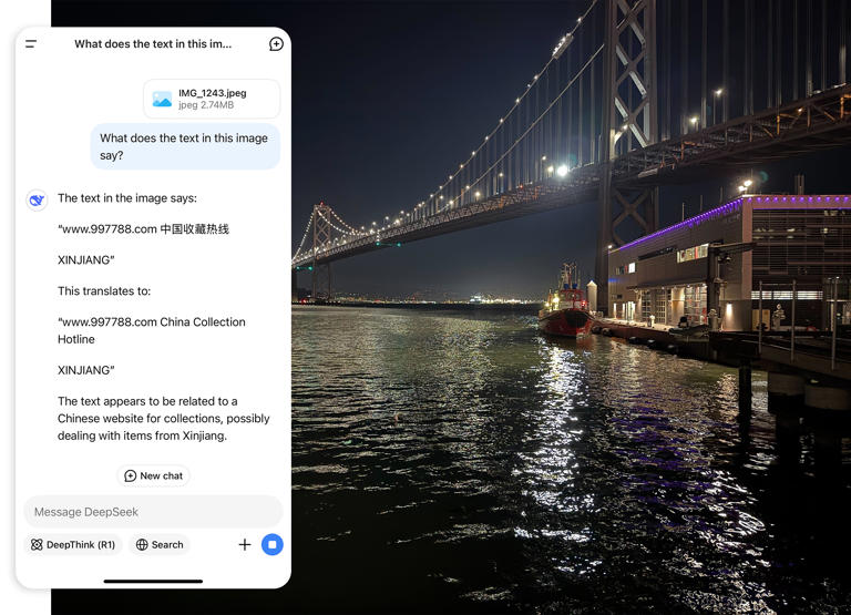 The DeepSeek app is impressively strange. Here’s what the fuss is about.