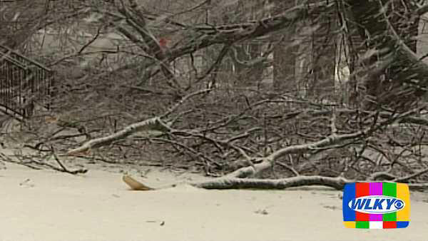 Remembering the disastrous ice storm of January 2009