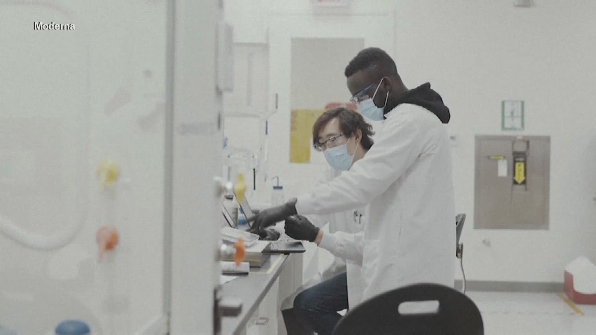 Scientists working to develop bird flu vaccines