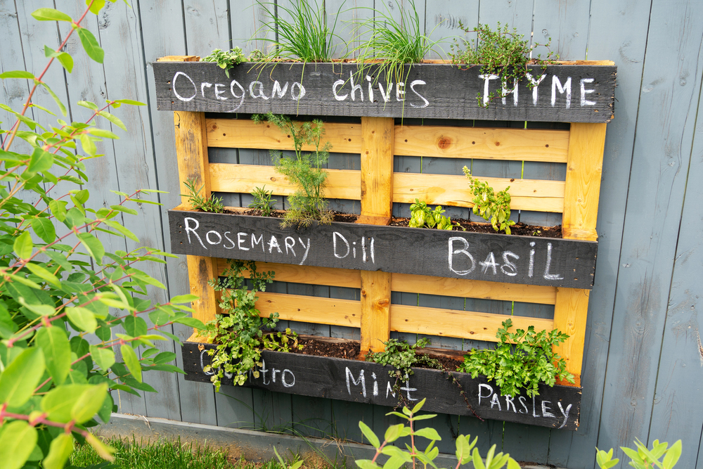 19 Container Gardening Ideas for Small Spaces